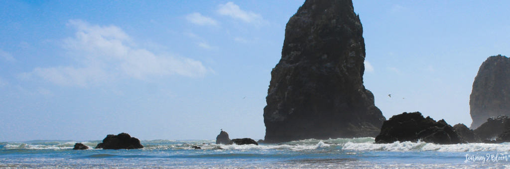 Visiting Cannon Beach - Learning2Bloom