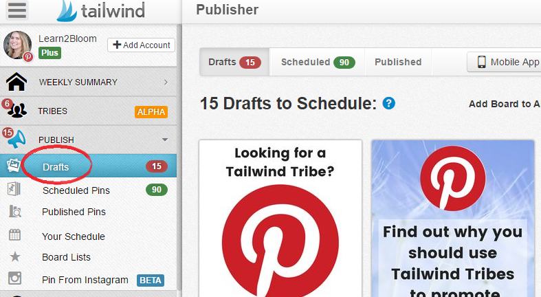 How to Use Tailwind to Grow Your Pinterest Account - Learning2Bloom