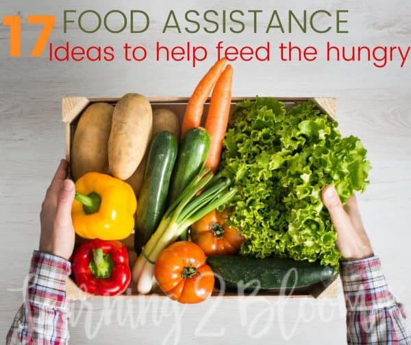 Food Assistance: How to help those in need - Learning2Bloom