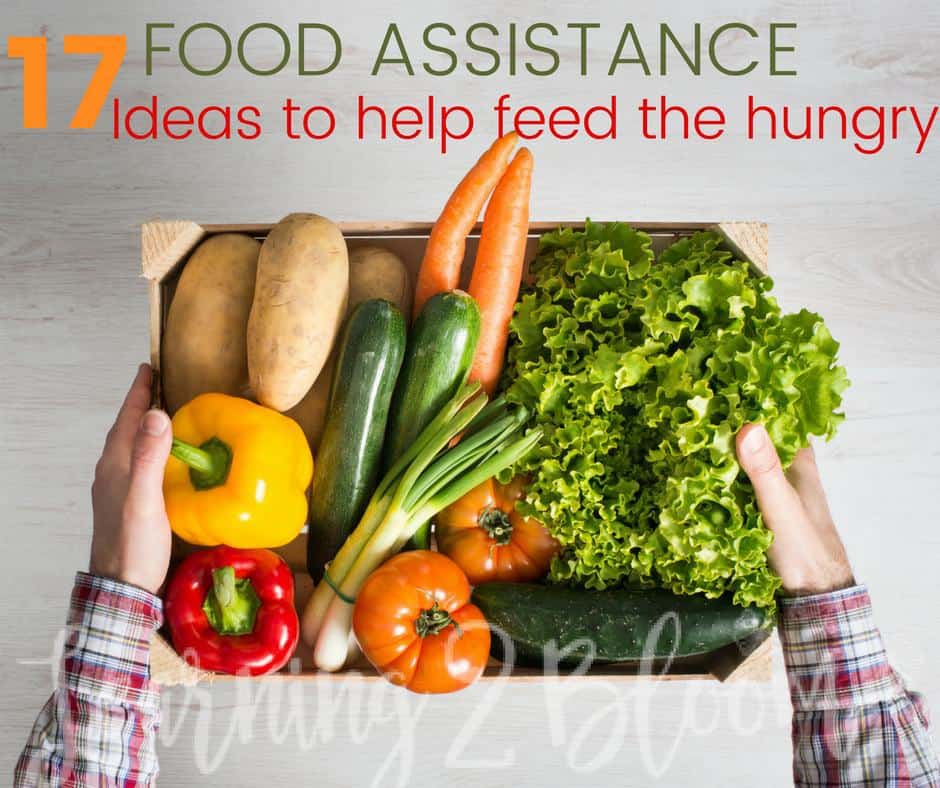 Food Assistance: How to help those in need - Learning2Bloom
