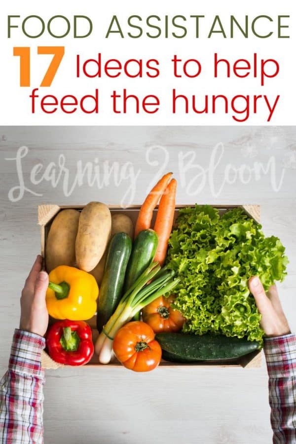 Food Assistance: How to help those in need - Learning2Bloom