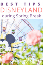Best Tips for Spring Break at Disneyland - Learning2Bloom